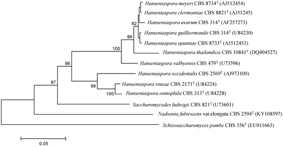 Oenological Impact of the Hanseniaspora/Kloeckera Yeast Genus on Wines ...