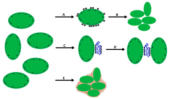 Harvesting of Microalgae by Flocculation