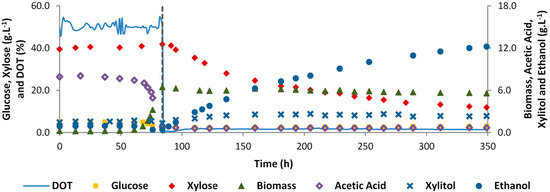 Two-Stage Aeration Fermentation Strategy to Improve Bioethanol ...