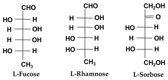 Food Industrial Production of Monosaccharides Using Microbial ...