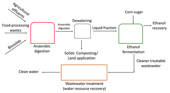 Fermentation | Special Issue : Biofuel Fermentation from Renewable Biomass