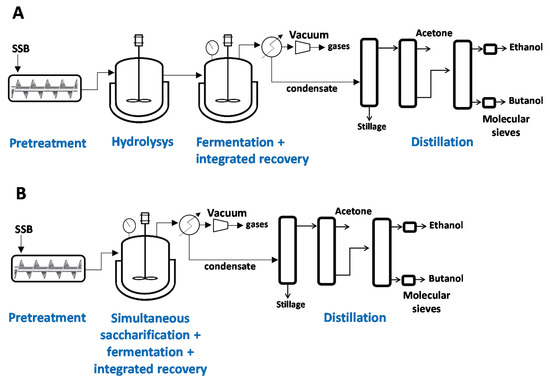 Global View of Biofuel Butanol and Economics of Its Production by ...