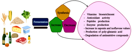 Microbial Fermentation and Its Role in Quality Improvement of Fermented ...