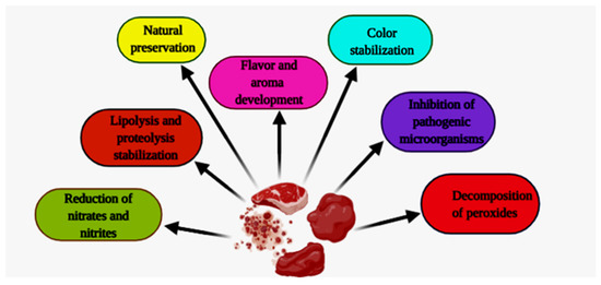 Microbial Fermentation and Its Role in Quality Improvement of Fermented ...