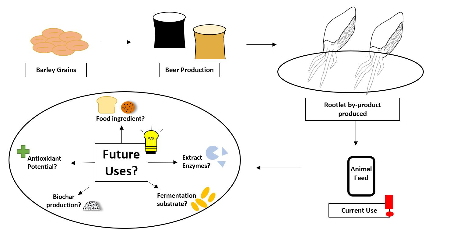 Fermentation | Free Full-Text | Rootlets, a Malting By-Product with ...