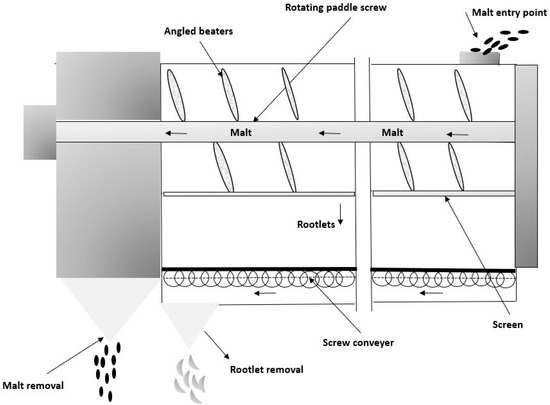 Rootlets, a Malting By-Product with Great Potential