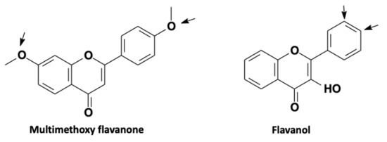 Fermentation as an Alternative Process for the Development of ...