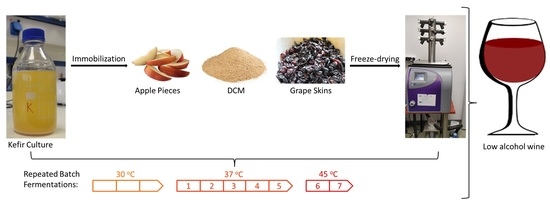 Fermentation | Free Full-Text | High-Temperature Semi-Dry and Sweet Low ...