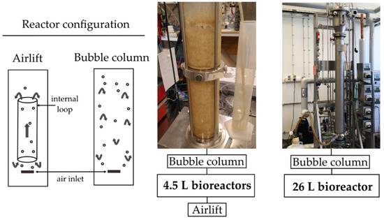 Valorization of Bread Waste to a Fiber- and Protein-Rich Fungal Biomass