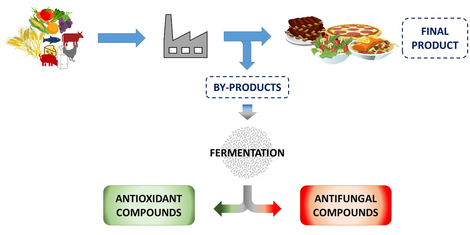 Fermentation | Free Full-Text | Obtaining Antioxidants and Natural ...