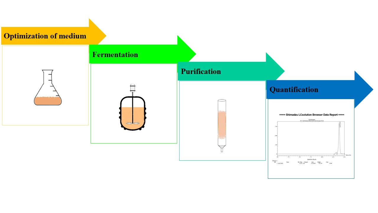 Fermentation | Free Full-Text | Production of L (+) Lactic Acid by ...