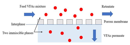 Volatile Fatty Acid Production from Organic Waste with the Emphasis on ...