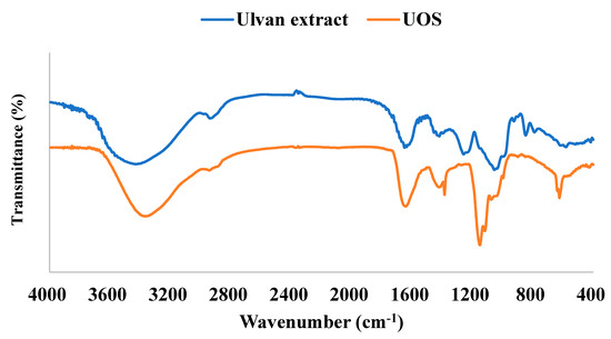 Production of Ulvan Oligosaccharides with Antioxidant and Angiotensin ...