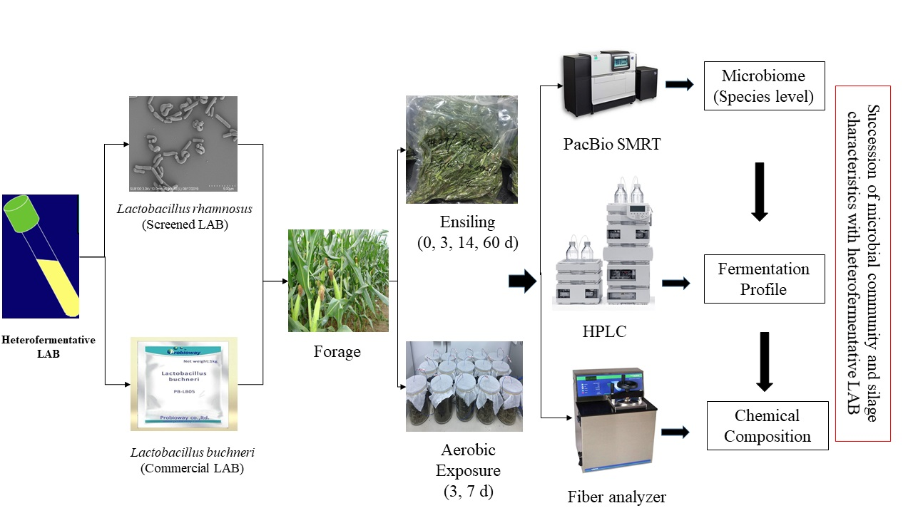 Fermentation | Free Full-Text | Succession of Microbial Communities of ...