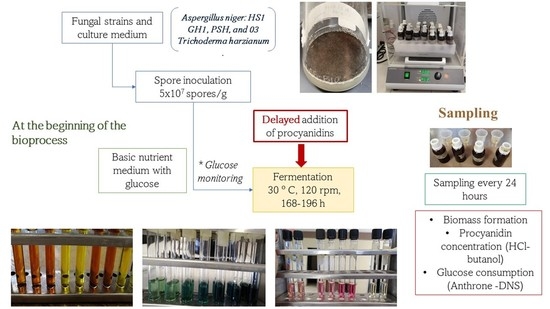 Fermentation | Free Full-Text | Kinetic Study of Fungal Growth of ...