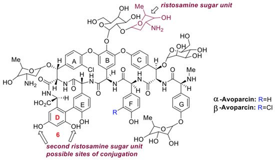 New Avoparcin-like Molecules from the Avoparcin Producer Amycolatopsis ...