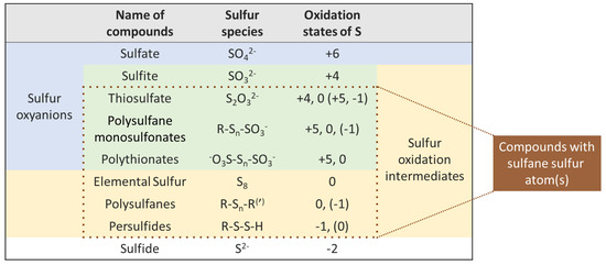 Fermentation | Free Full-Text | Sulfane Sulfur Compounds as Source of ...