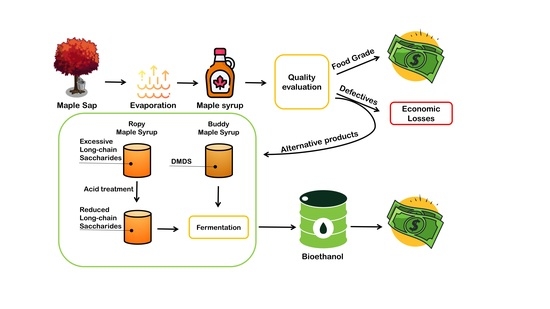 Fermentation | Free Full-Text | Bioethanol Production as an Alternative ...