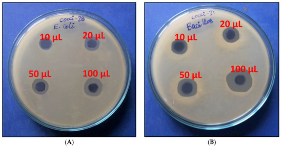 Fermentation | Free Full-Text | Isolation and Characterization of ...