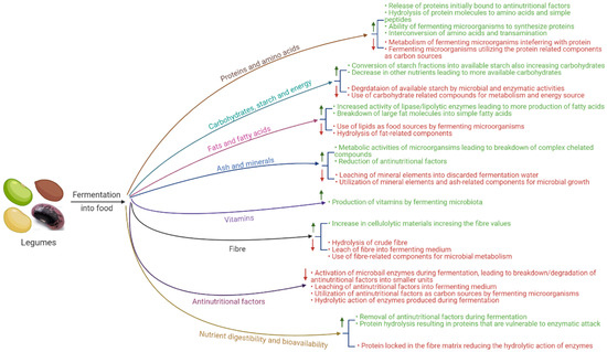 Fermentation of Cereals and Legumes: Impact on Nutritional Constituents ...