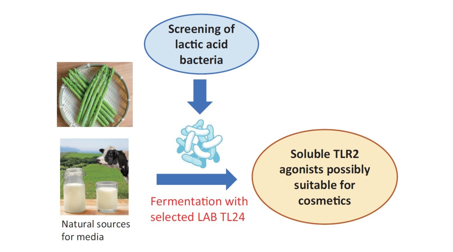Fermentation | Free Full-Text | Fermentation of Plant Extracts ...