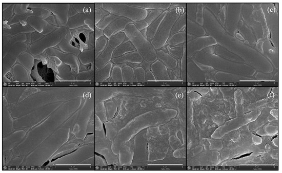 Butanol Production by a Novel Efficient Method Using Mixed Cultures of ...