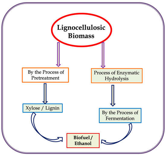 Fermentation | Free Full-Text | Recent Developments in Lignocellulosic ...