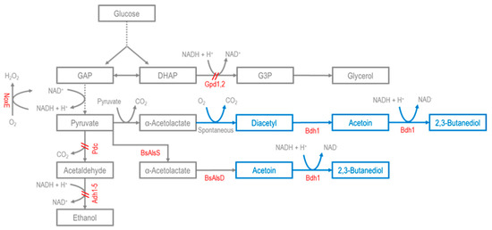 Fermentation | Special Issue : Biological Conversion of Biomass ...