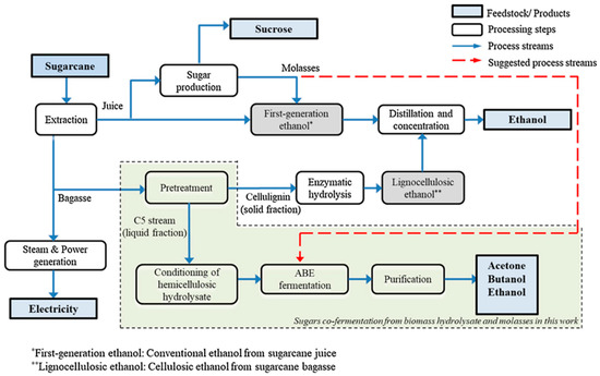 Fermentation | Special Issue : Biological Conversion of Biomass ...