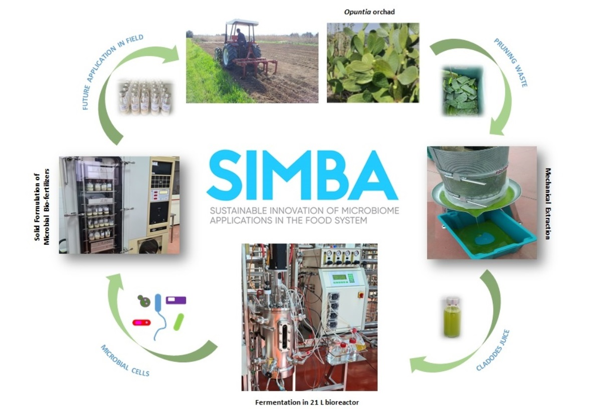 Fermentation | Free Full-Text | Designing a Waste-Based Culture Medium ...