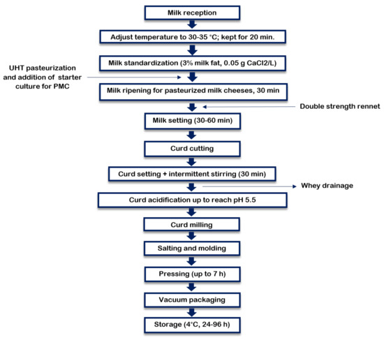 Use of Autochthonous Lactic Acid Bacteria as Starter Culture of ...