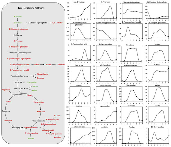Fermentation | Special Issue : Biological Conversion of Biomass ...