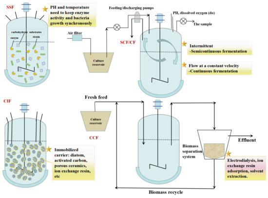 Engineered Microbial Cell Factories for Sustainable Production of L ...