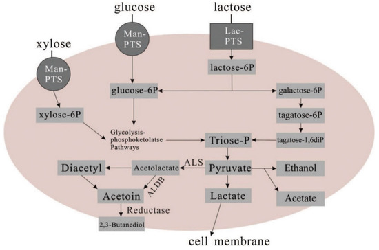 Recent Progress in Electronic Noses for Fermented Foods and Beverages ...