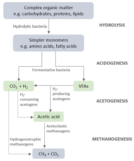 Intensification of Acidogenic Fermentation for the Production of ...