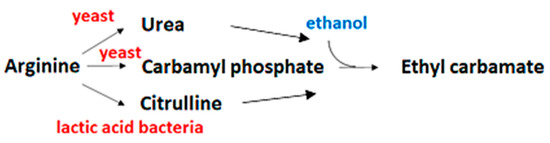 Fermentation | An Open Access Journal from MDPI