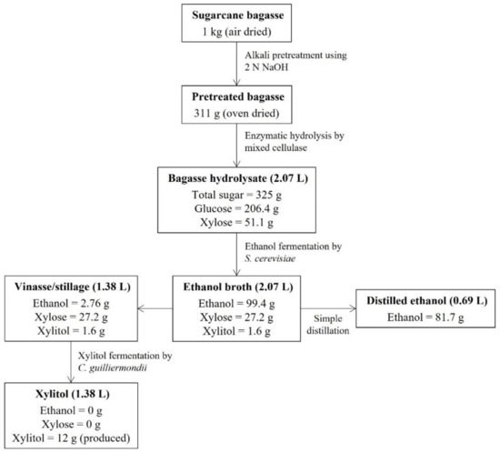 Sugarcane Bagasse-Based Ethanol Production and Utilization of Its ...