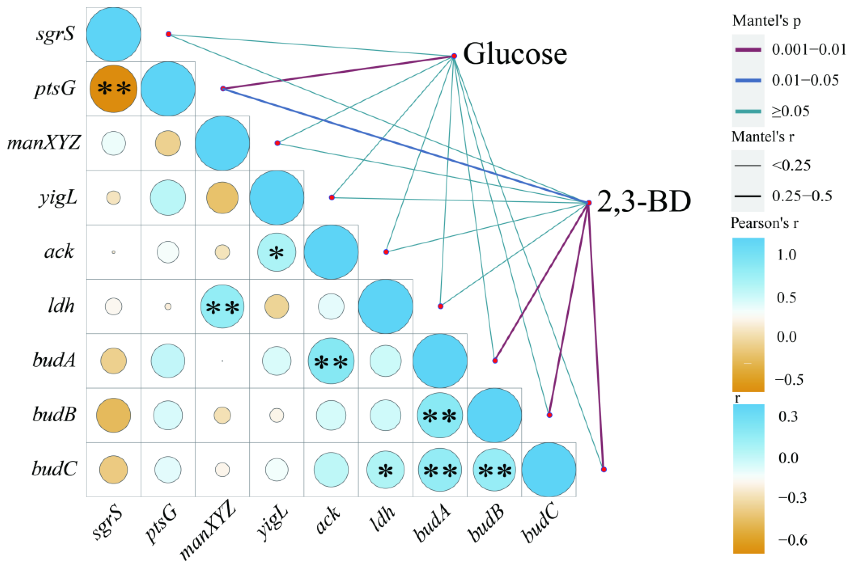 Enhancement of 2,3-Butanediol Production by Klebsiella pneumoniae ...