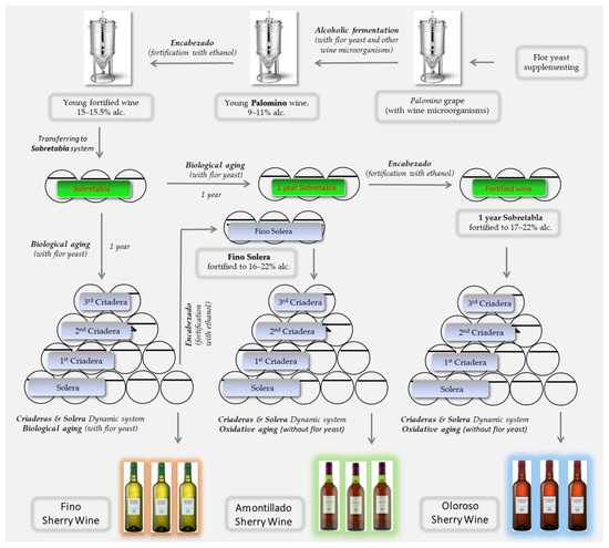 Fermentation | Free Full-Text | Sherry Wines: Worldwide Production ...