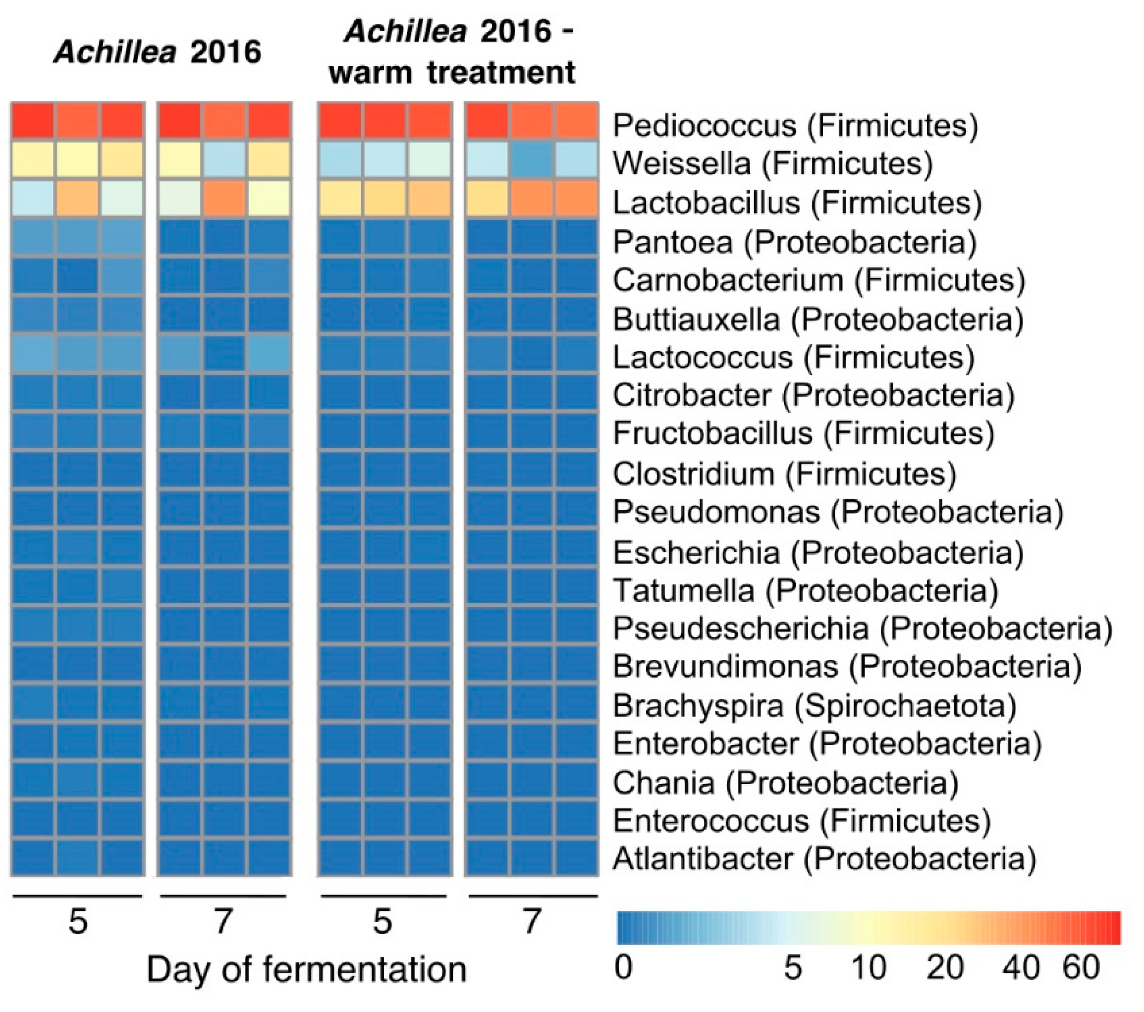 Succession of Bacterial and Fungal Communities during Fermentation of ...