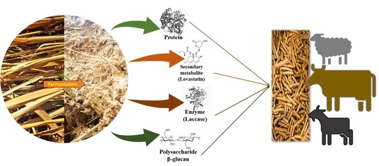 Fermentation | Free Full-Text | Nutraceutical Enrichment of Animal Feed ...