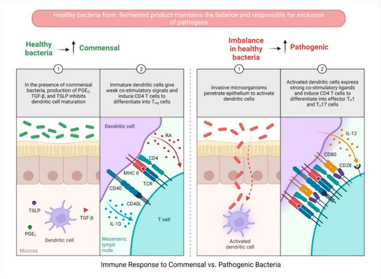 Dairy-Based Probiotic-Fermented Functional Foods: An Update on Their ...
