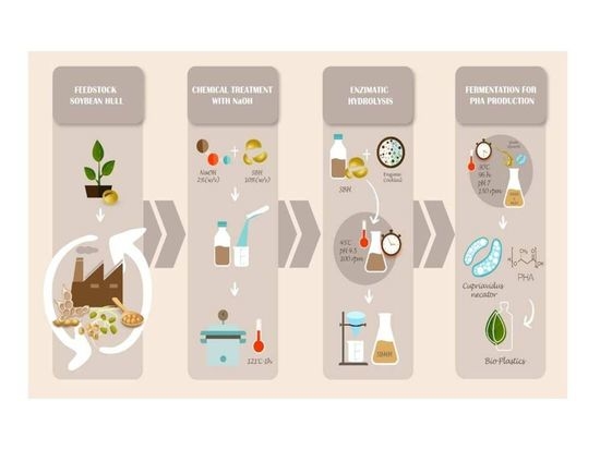 Fermentation | Free Full-Text | Production of Polyhydroxyalkanoates ...