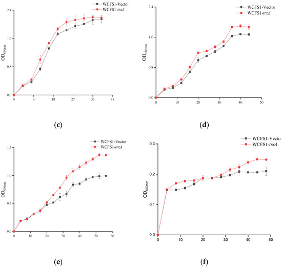 Improved Tolerance of Lactiplantibacillus plantarum in the Presence of ...