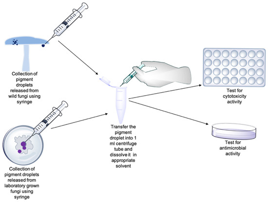 Natural Substrates and Culture Conditions to Produce Pigments from ...