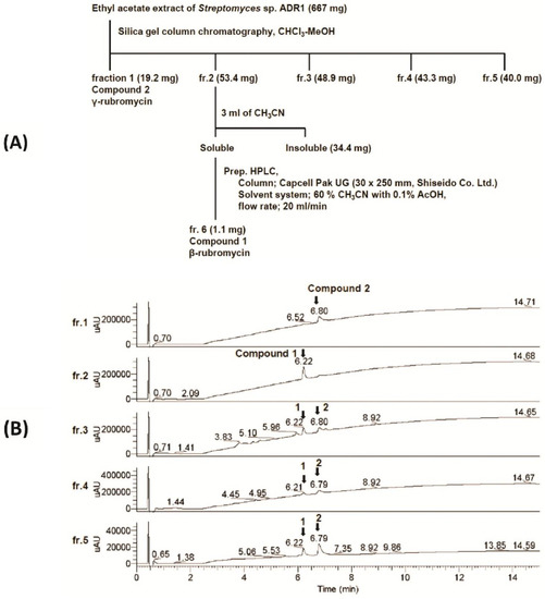 Streptomyces sp. ADR1, Strain Producing β- and γ-Rubromycin Antibiotics ...