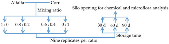 Effect of Storage Period on the Fermentation Profile and Bacterial ...
