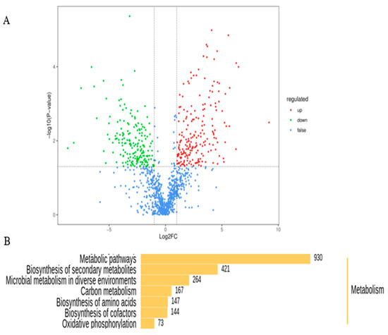 Comparative Proteomic Analysis of Bacillus subtilis and Aspergillus ...