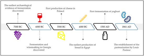 Fermented Black Tea and Its Relationship with Gut Microbiota and ...