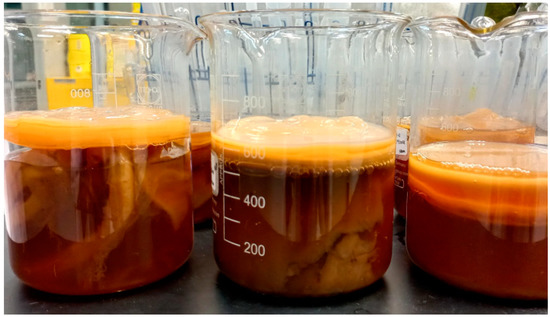 Fermented Black Tea and Its Relationship with Gut Microbiota and ...